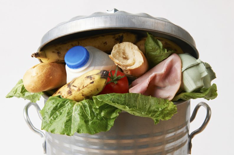 Just Eat it: A Food Waste Story